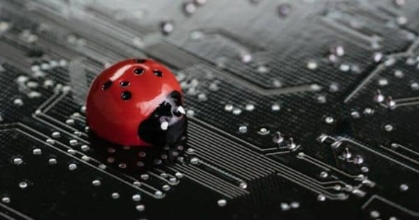 What is Software Bugs? How do they occur?